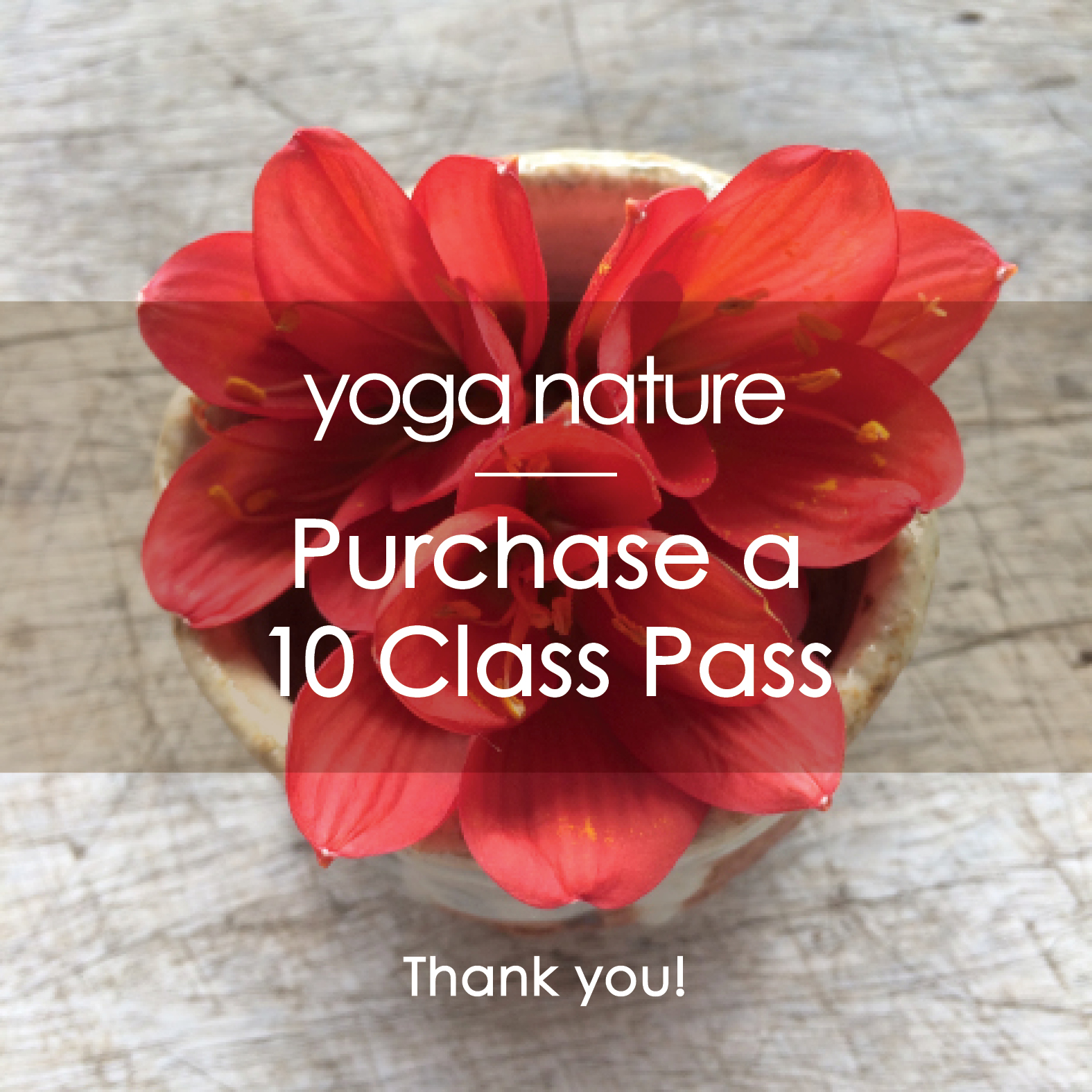 PURCHASE A 10 CLASS PASS • | YOGA NATURE